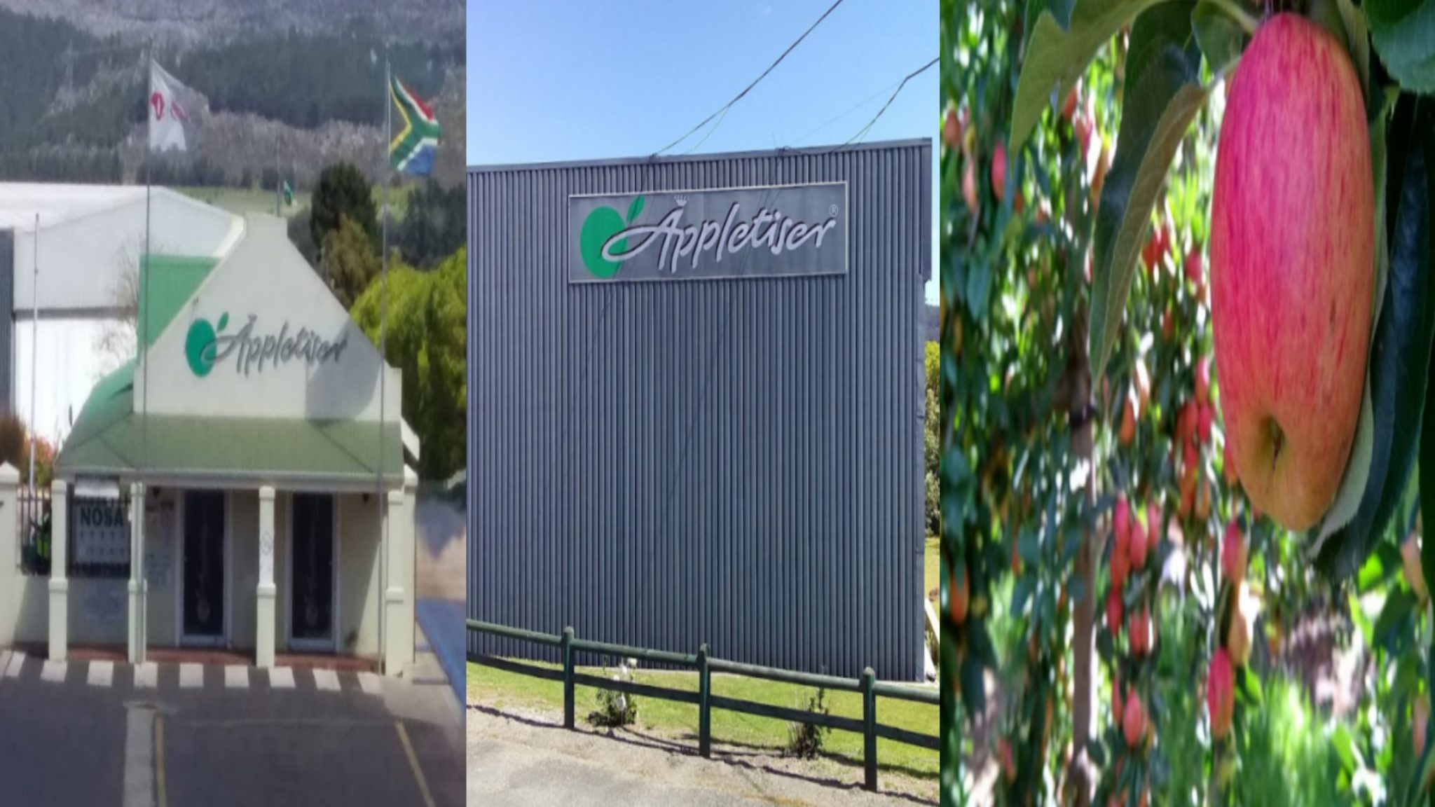 Appletiser's SA Factory: Where Innovation Meets the Elgin Valley ...