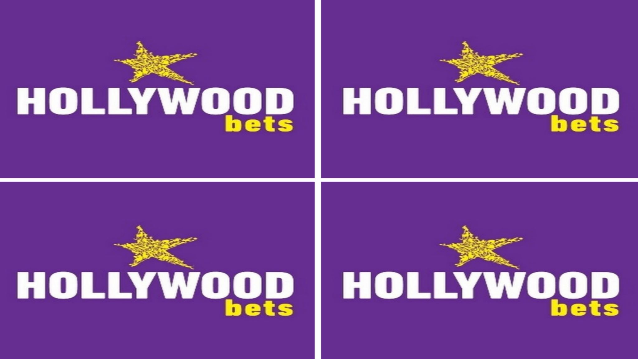 Hollywoodbets' Net Worth and Industry Dominance | Entrepreneur Hub SA