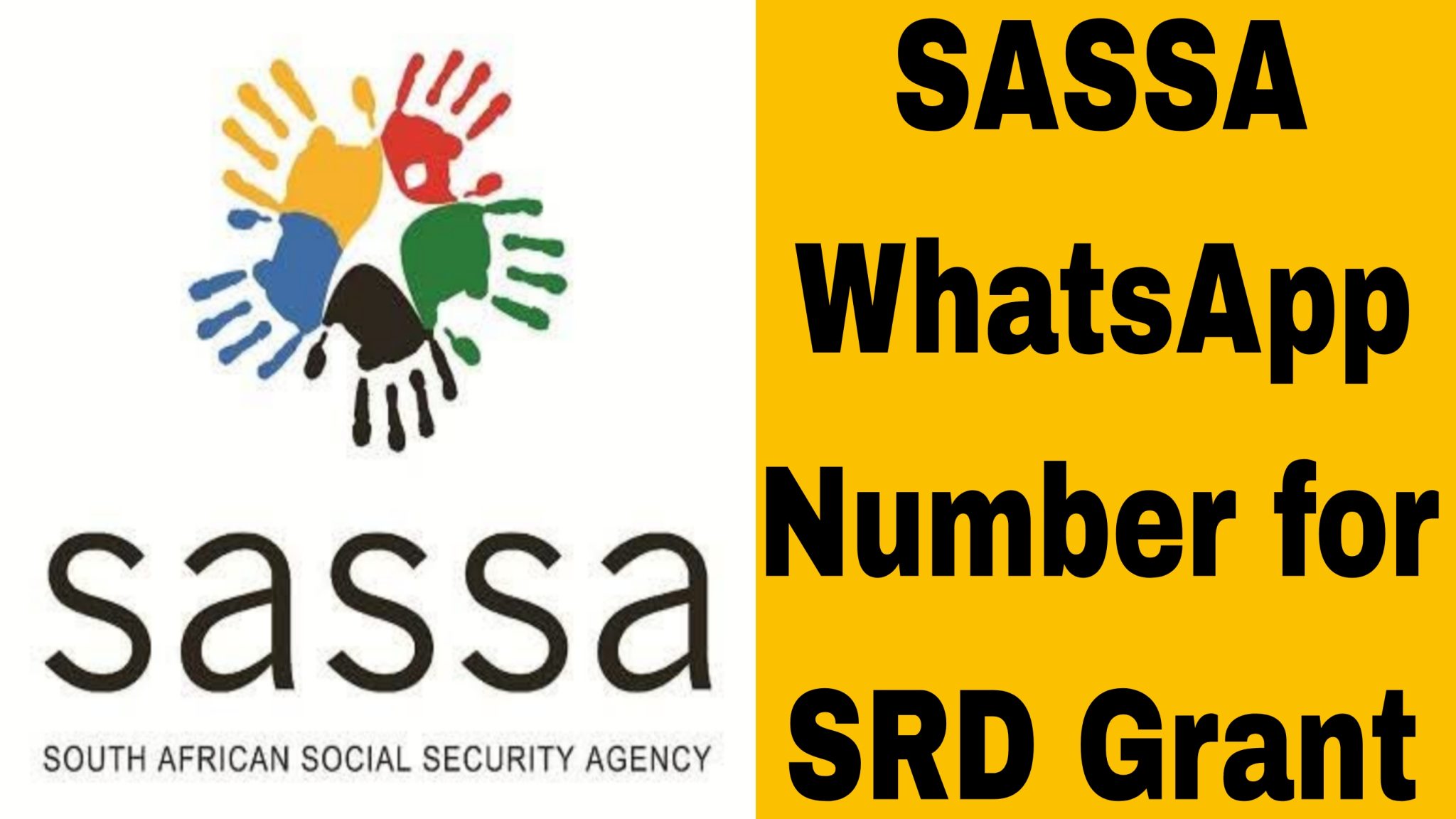 SASSA WhatsApp Number for SRD Grant: Your Complete Guide | Entrepreneur ...
