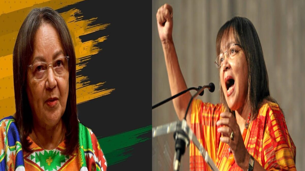 Patricia de Lille’s Salary: South Africa’s Pay Debate | Entrepreneur Hub SA