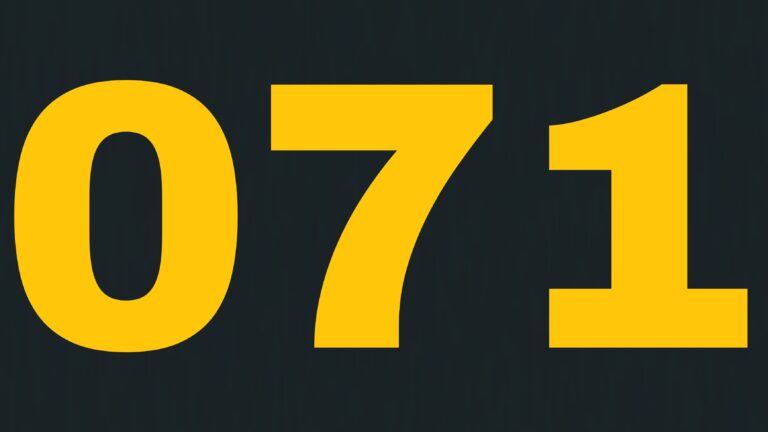 071 Network: Everything You Need to Know | Entrepreneur Hub SA