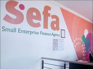 SEFA: Fast-Track Funding for Serious SMEs | Entrepreneur Hub SA
